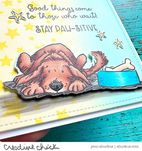 Spoiled Pets, Colorado Craft Company {creative chick}
